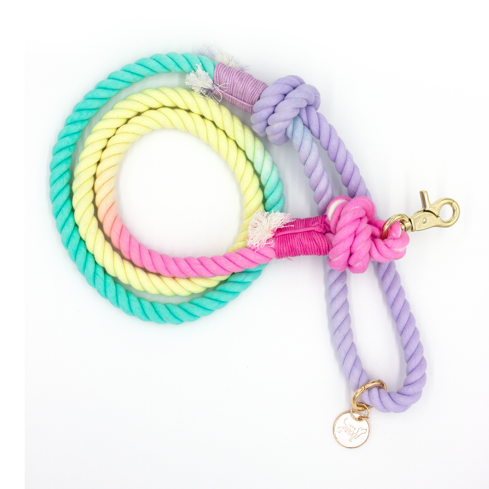 Rainbow Rope Leash – Let's Aroo